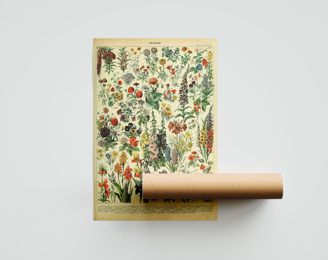 Imprimé floral vintage Imprimé botanique Affiche de fleur | Etsy
