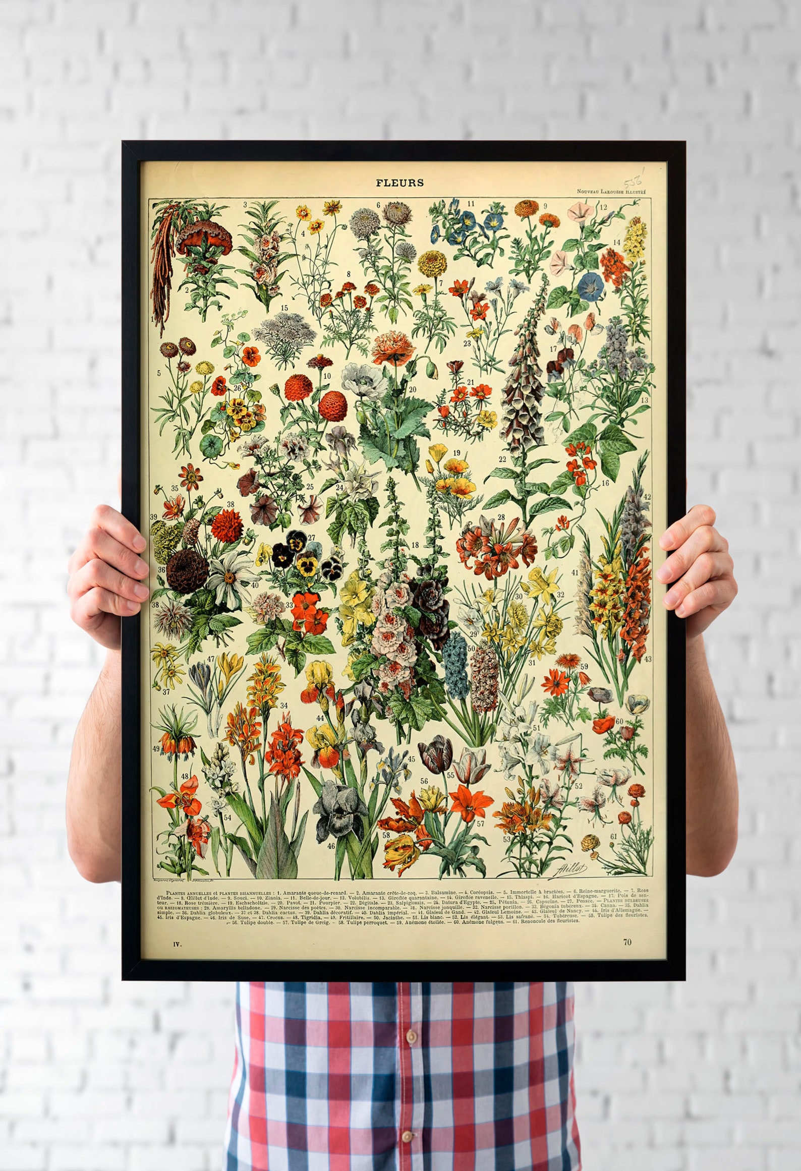 Imprimé floral vintage Imprimé botanique Affiche de fleur | Etsy