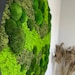 Moss Ceiling Tiles Custom Panels Wall Moss Art Green Natural Dried Moss ...