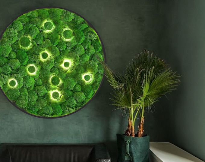Delightful LED Lights Preserved Moss Wall Art Live Moss LED Home Décor ...