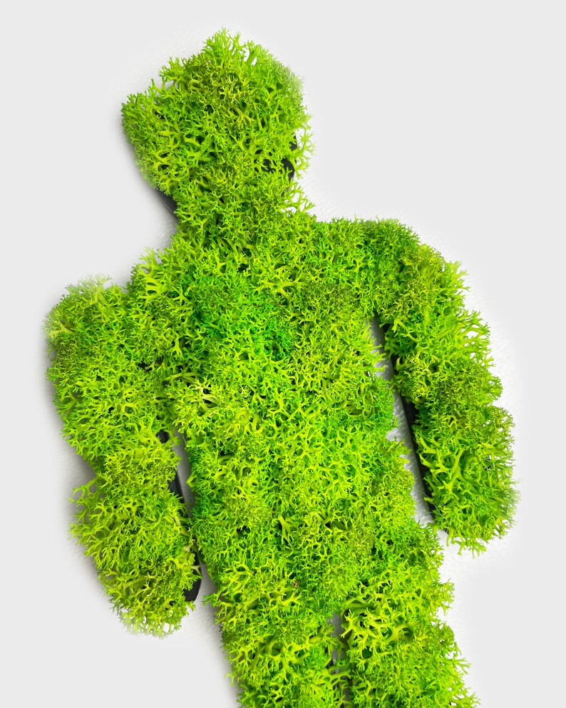 Moss Wc Sign Restroom Sign With Preserved Moss Toilet Sign Men's Room ...