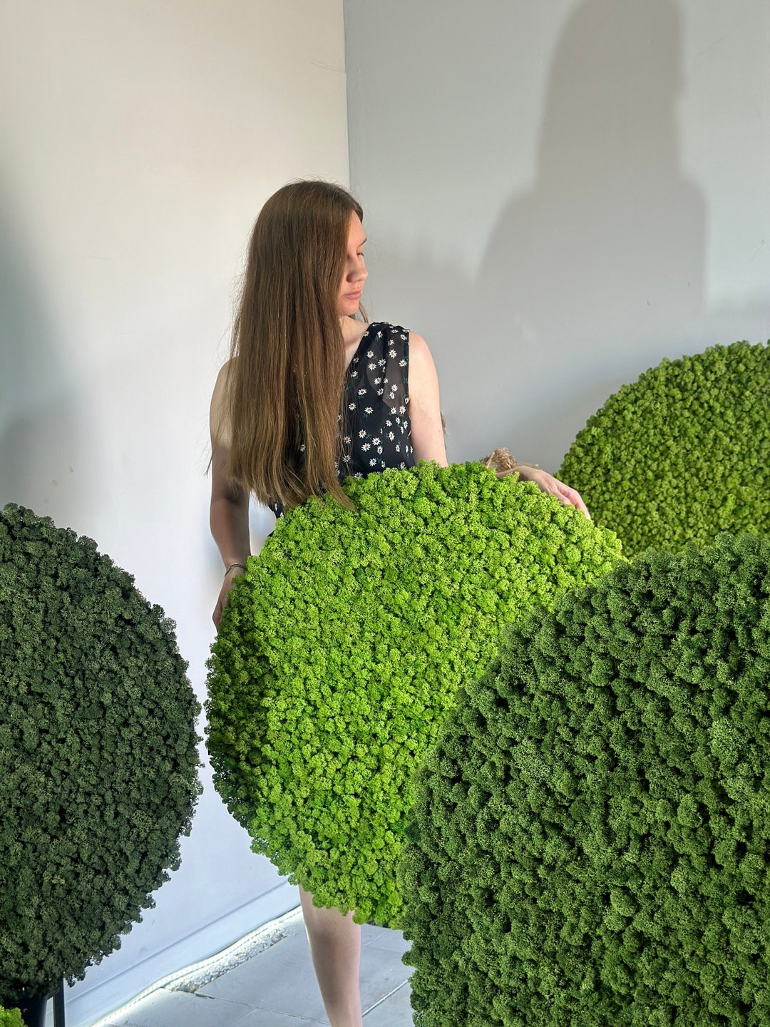 Large Circle Moss Wall Art Home Decor Wall Moss Art Green Natural Dried ...