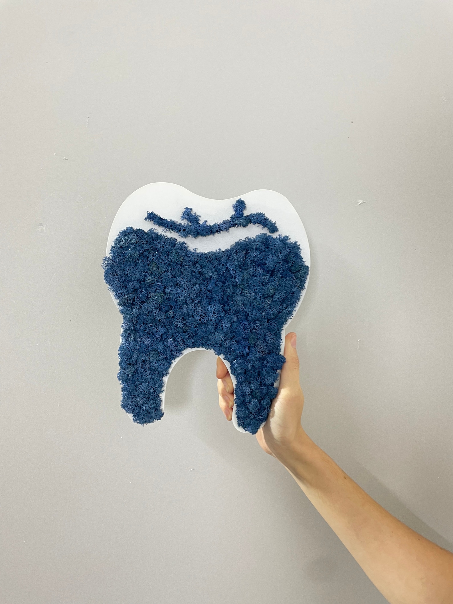 Custom Moss Tooth Dental Office Decor Dentist Office Sign - Etsy