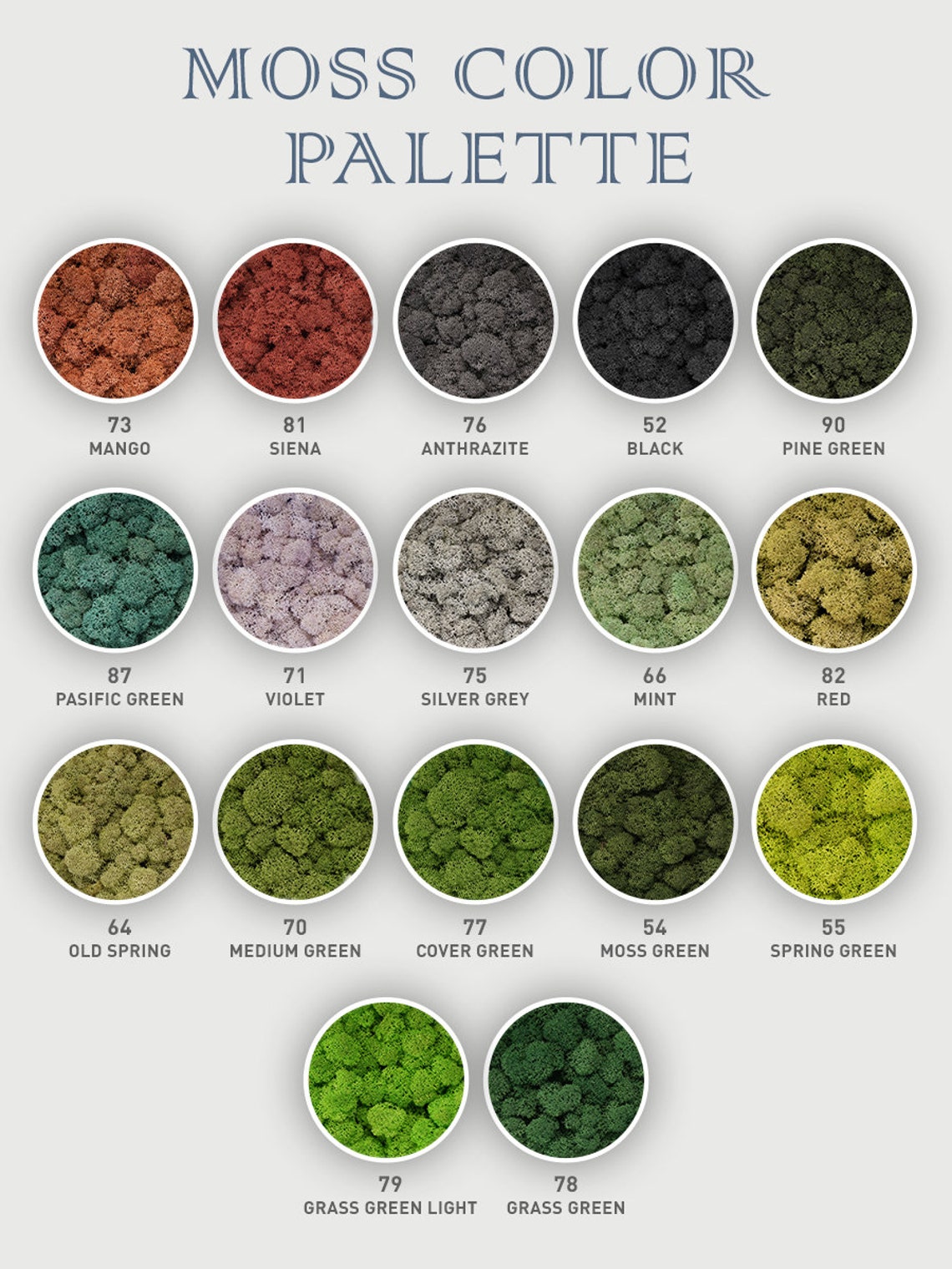 Extra Large Natural Dried Moss Wall Art Wall Moss Decor Moss - Etsy UK