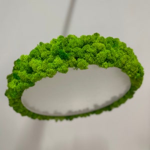 Stabilized Moss Pendant Light, Ceiling Lamp, Dining Room Lighting, Moss ...