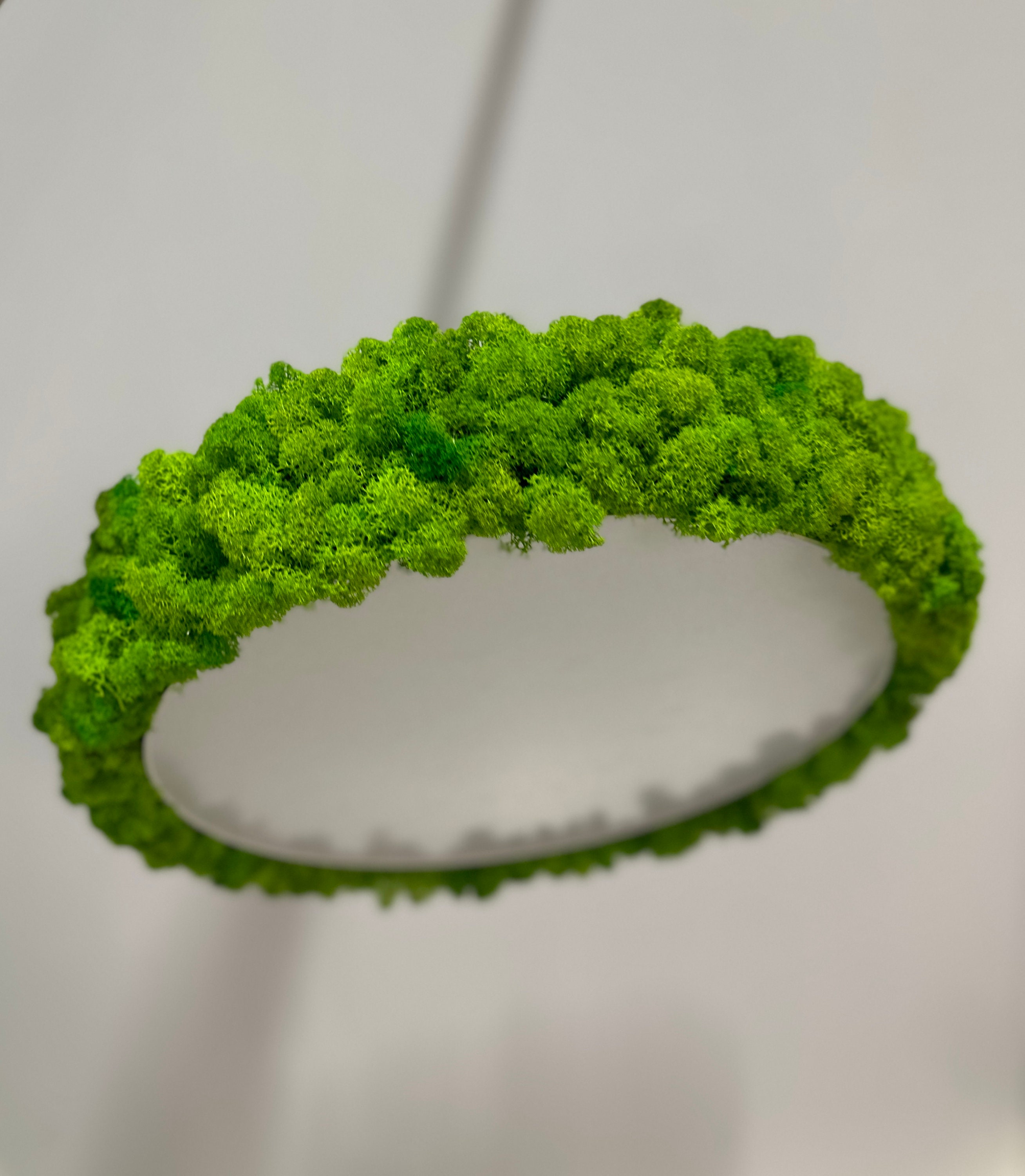 Stabilized Moss Pendant Light, Ceiling Lamp, Dining Room Lighting, Moss ...