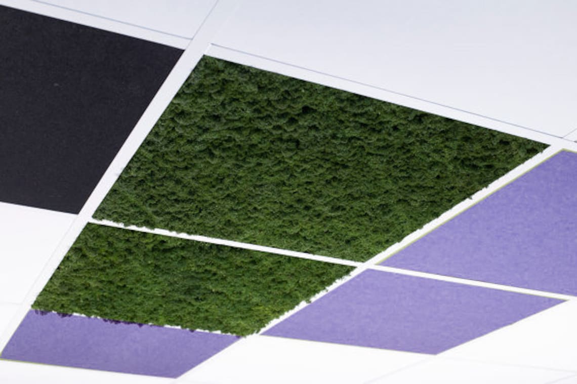 Moss Ceiling Tiles Custom Panels Wall Moss Art Green Natural Dried Moss ...