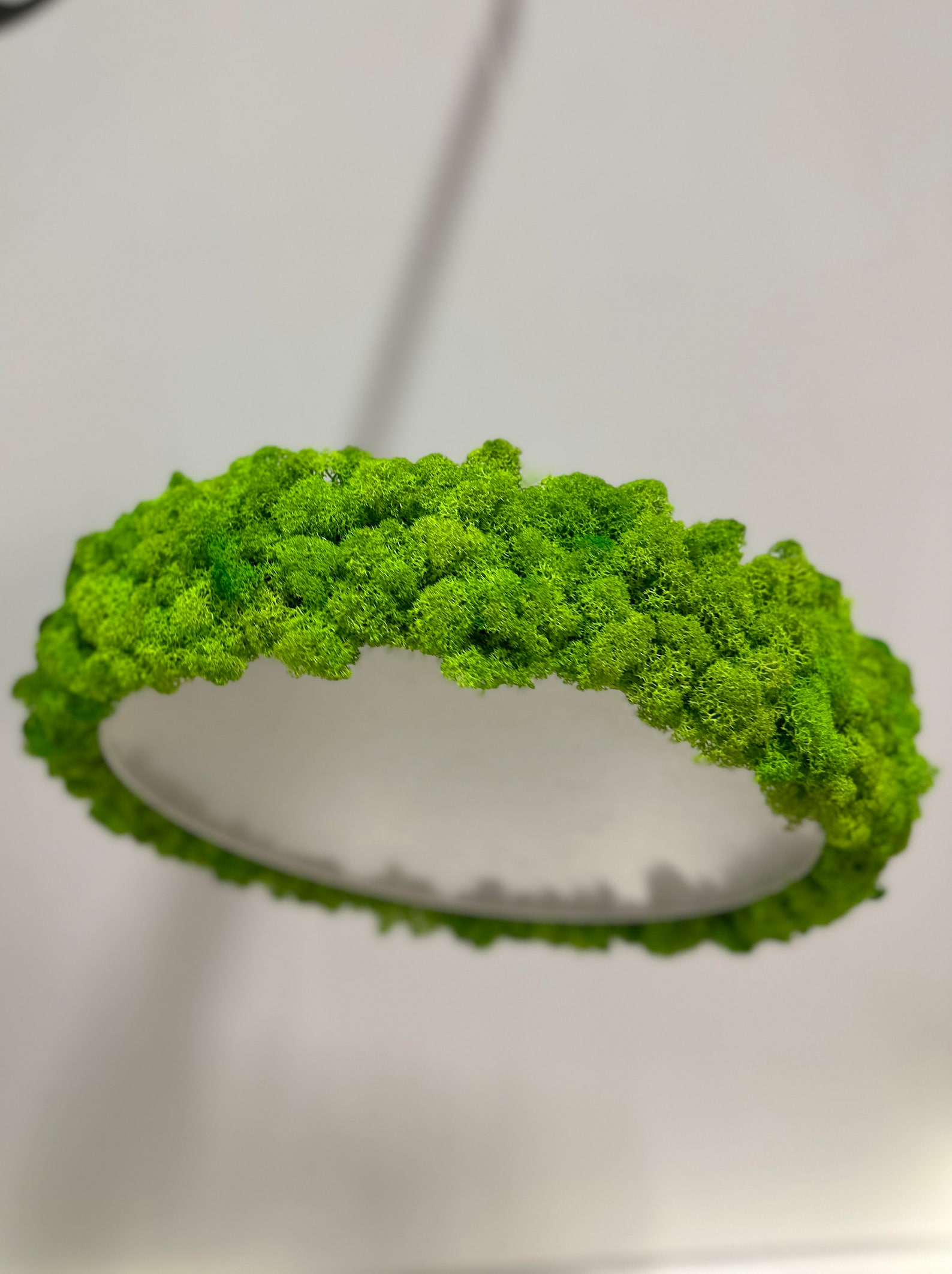 Stabilized Moss Pendant Light, Ceiling Lamp, Dining Room Lighting, Moss ...