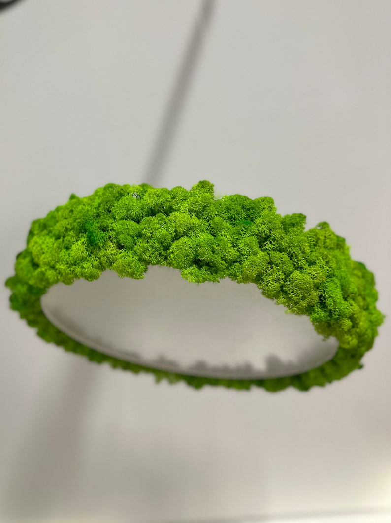 Stabilized Moss Pendant Light, Ceiling Lamp, Dining Room Lighting, Moss ...