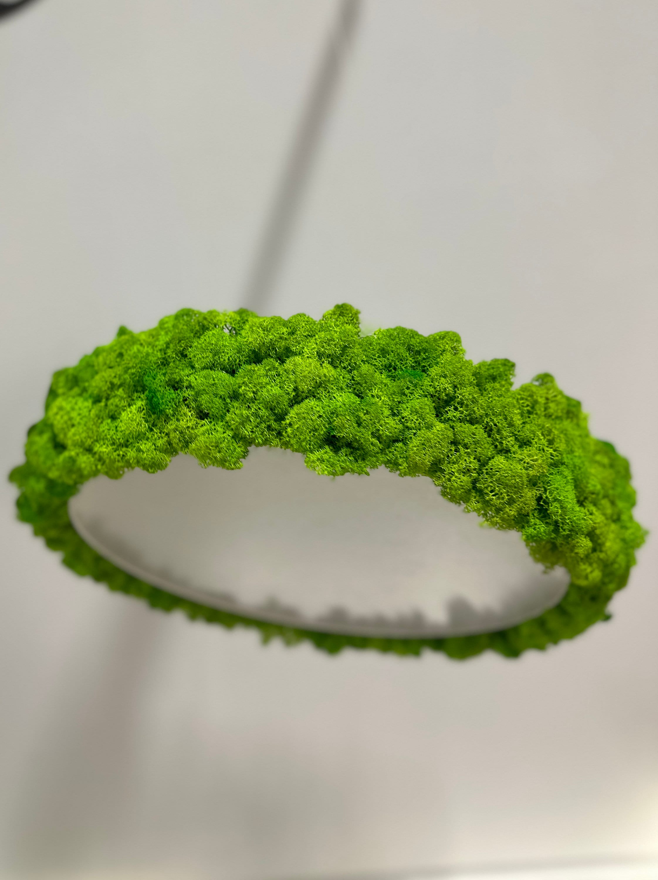 Stabilized Moss Pendant Light, Ceiling Lamp, Dining Room Lighting, Moss ...