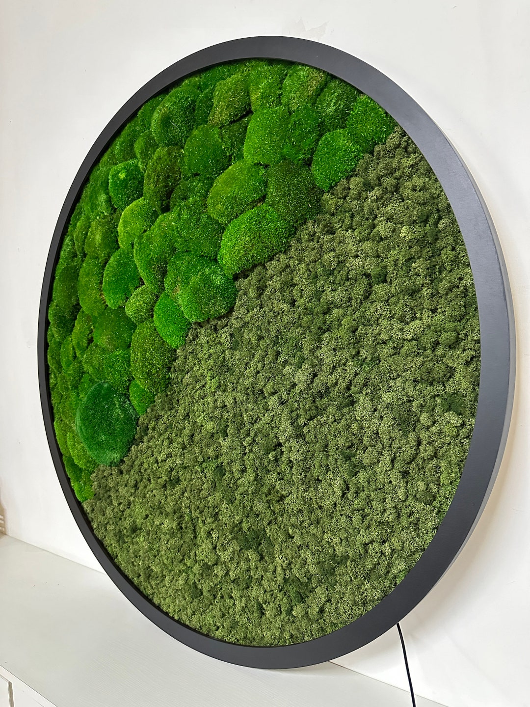 Extra Large Natural Dried Moss Wall Art Wall Moss Decor Moss Wall Art ...