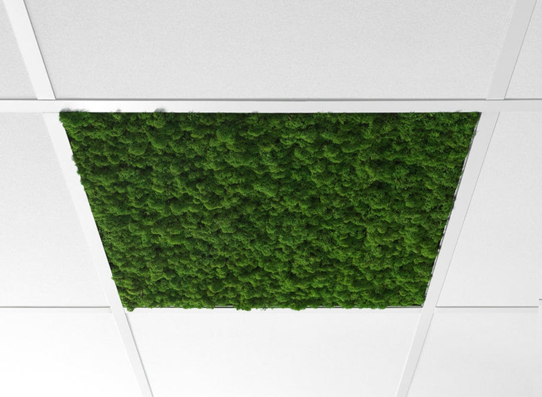 Wall Moss Ceiling Tiles Panels Moss Ceiling Panels Natural Dried Moss ...