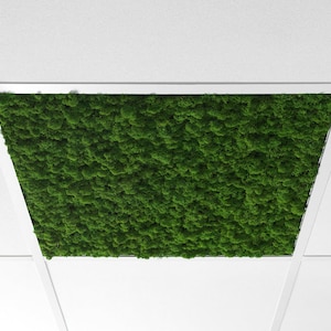 Wall Moss Ceiling Tiles Panels Moss Ceiling Panels Natural Dried Moss ...