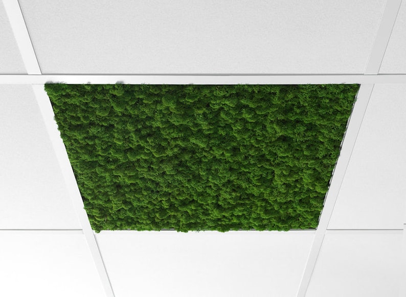 Wall Moss Ceiling Tiles Panels Moss Ceiling Panels Natural Dried Moss ...