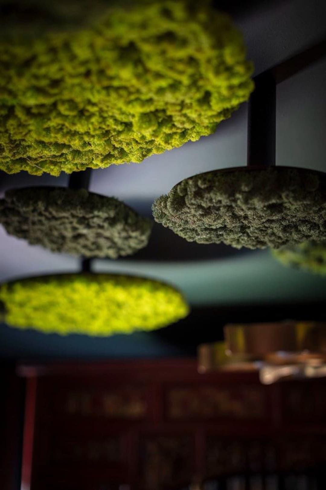 Round Moss Ceiling Art Decor Wall Moss Art Green Moss Ceiling Tiles ...