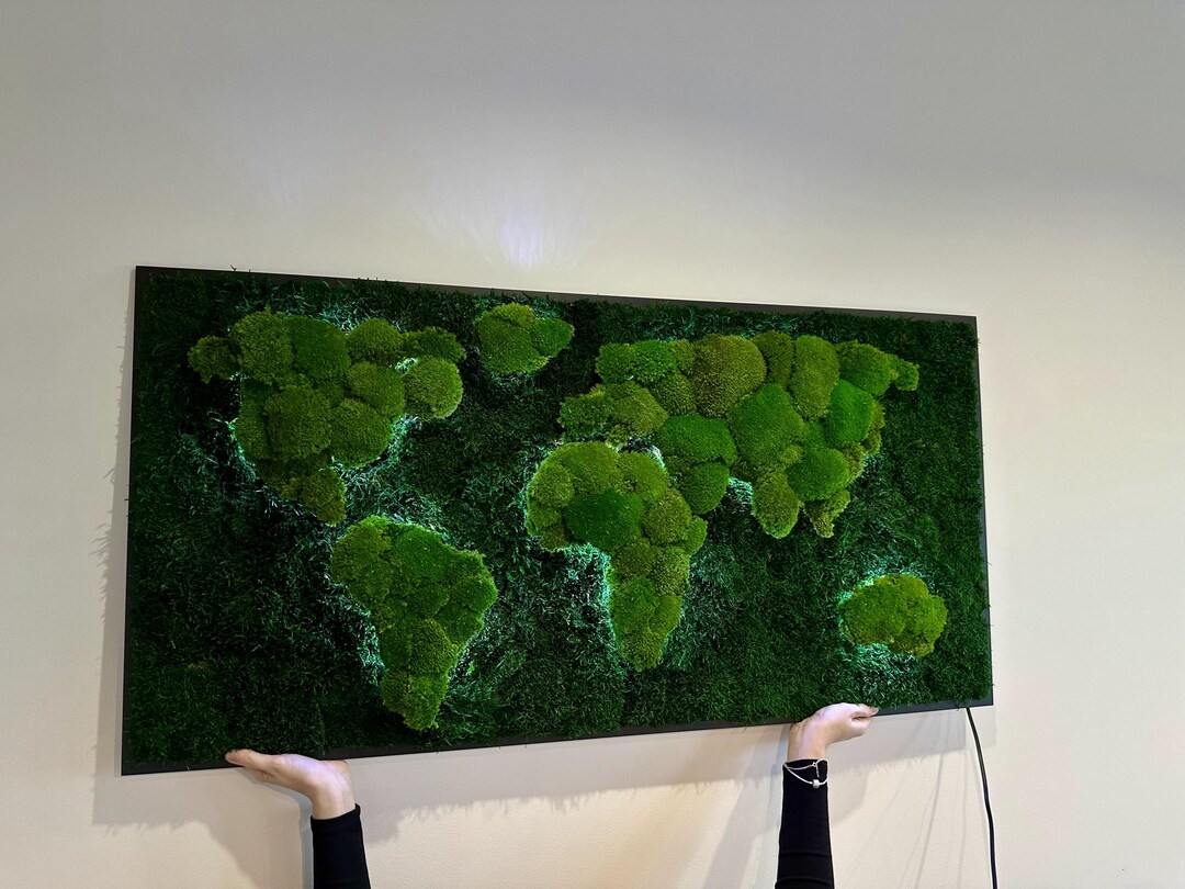Led Moss Wall World Map Framed Moss Wall Art Green Wall Moss World Map ...