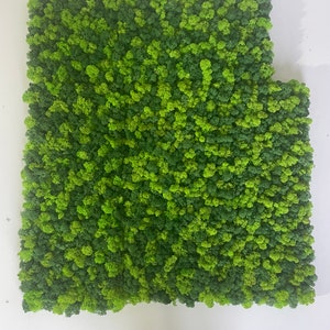 Preserved Moss Panels Wall Natural Dried Moss Art Trendy Wall Art Green ...