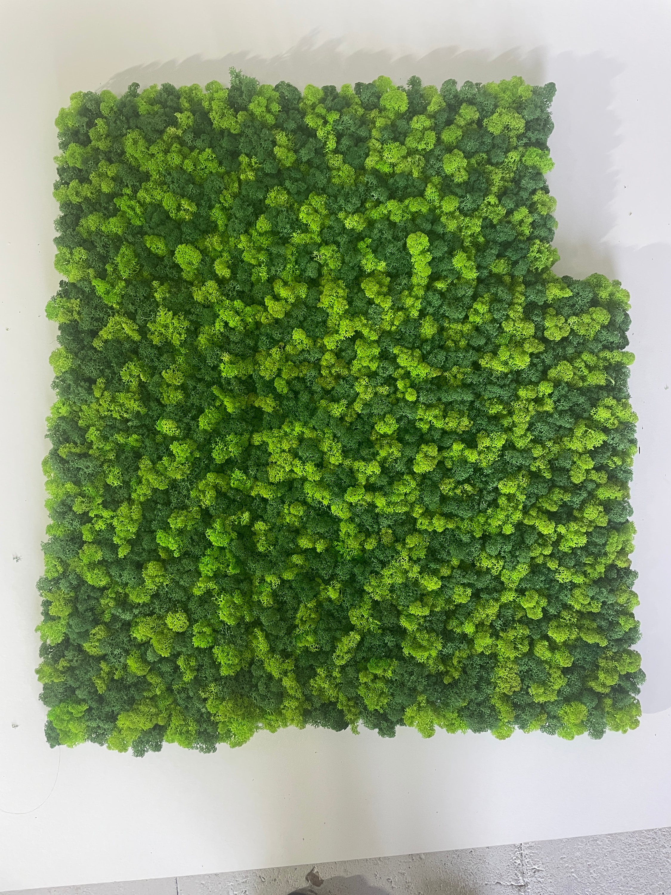 Preserved Moss Panels Wall Natural Dried Moss Art Trendy Wall Art Green ...