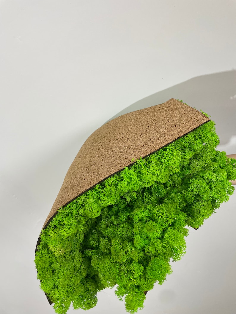 Preserved Moss Panels Wall Natural Dried Moss Art Trendy Wall Art Green ...