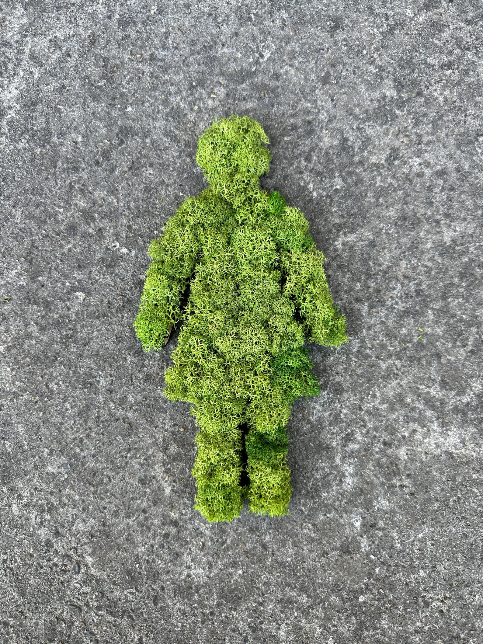 Moss Wc Sign Restroom Sign With Preserved Moss Toilet Sign Men's Room ...