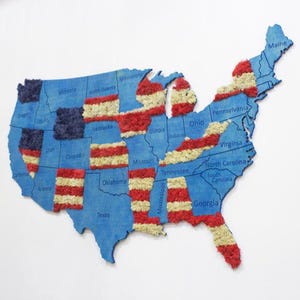 USA Moss Wall Map Large US Moss Wall Map Moss Wall Art Blue Wood USA ...