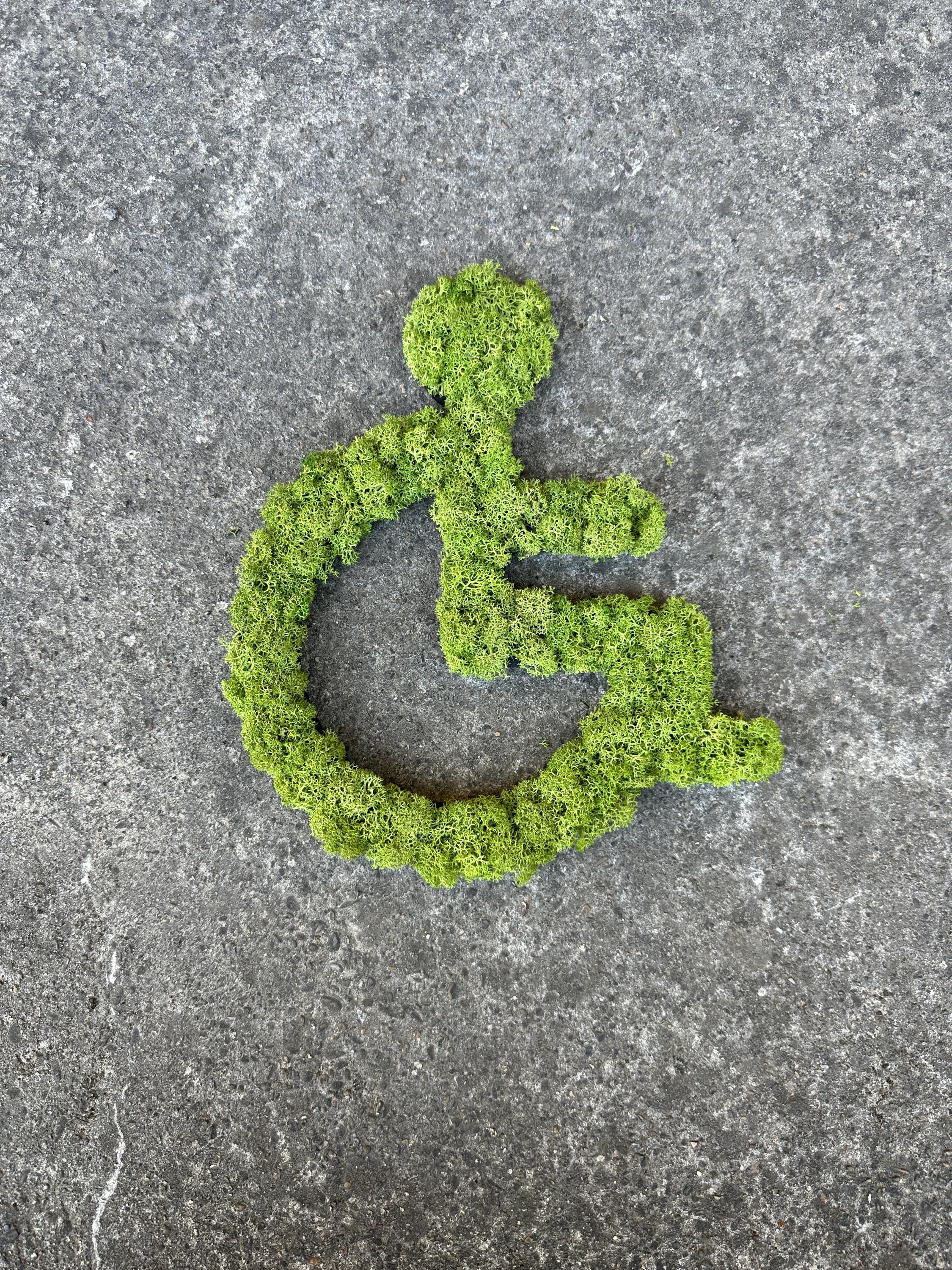 Moss Wc Sign Restroom Sign With Preserved Moss Toilet Sign Men's Room ...