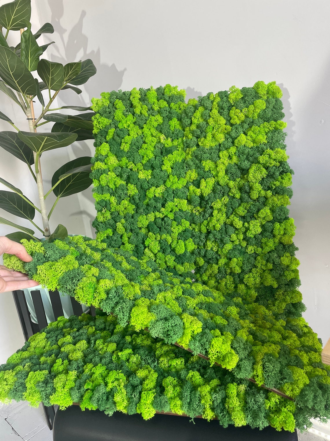 Preserved Moss Panels Wall Natural Dried Moss Art Trendy Wall Art Green ...