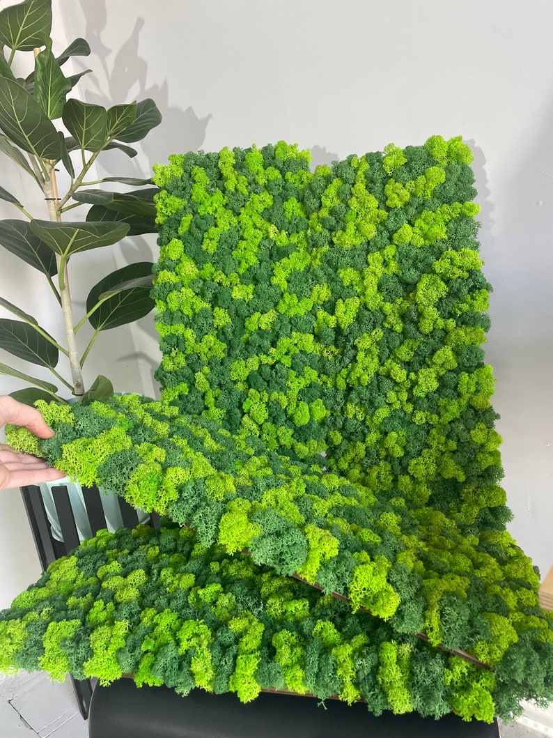 Preserved Moss Panels Wall Natural Dried Moss Art Trendy Wall Art Green ...