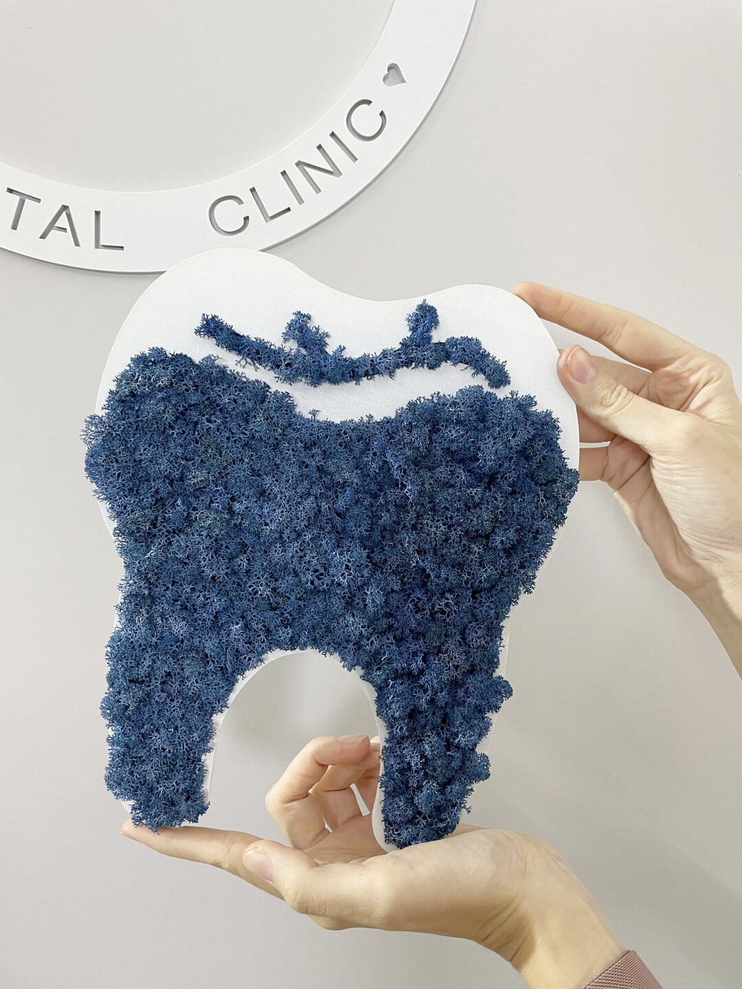 Custom Moss Tooth Dental Office Decor Dentist Office Sign - Etsy