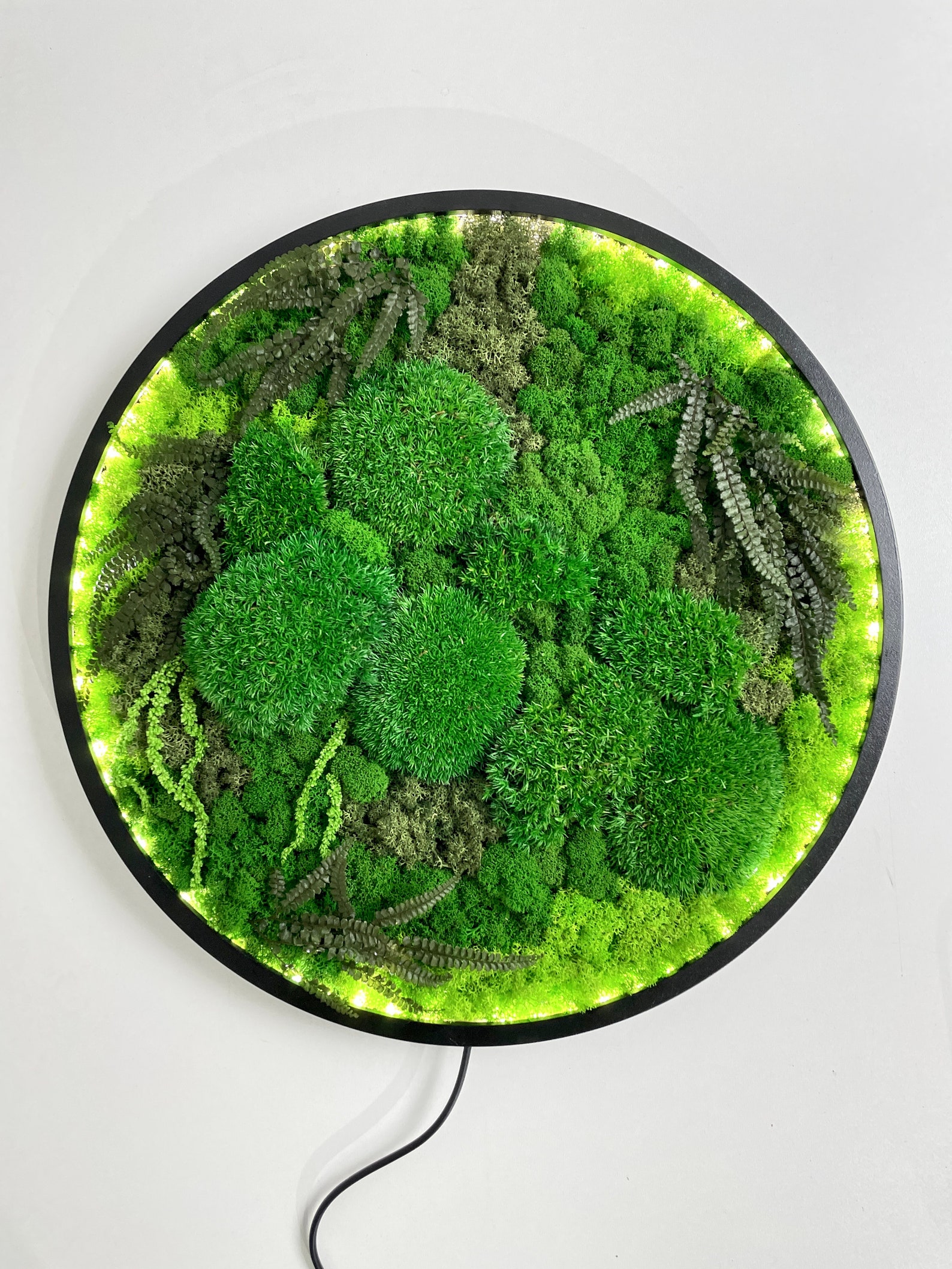 Extra Large Natural Dried Moss Wall Art Wall Moss Decor Moss - Etsy