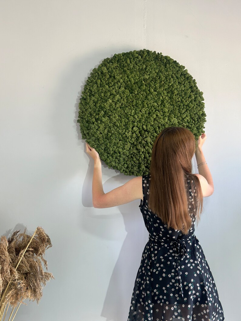 Large Circle Moss Wall Art Home Decor Wall Moss Art Green Natural Dried ...