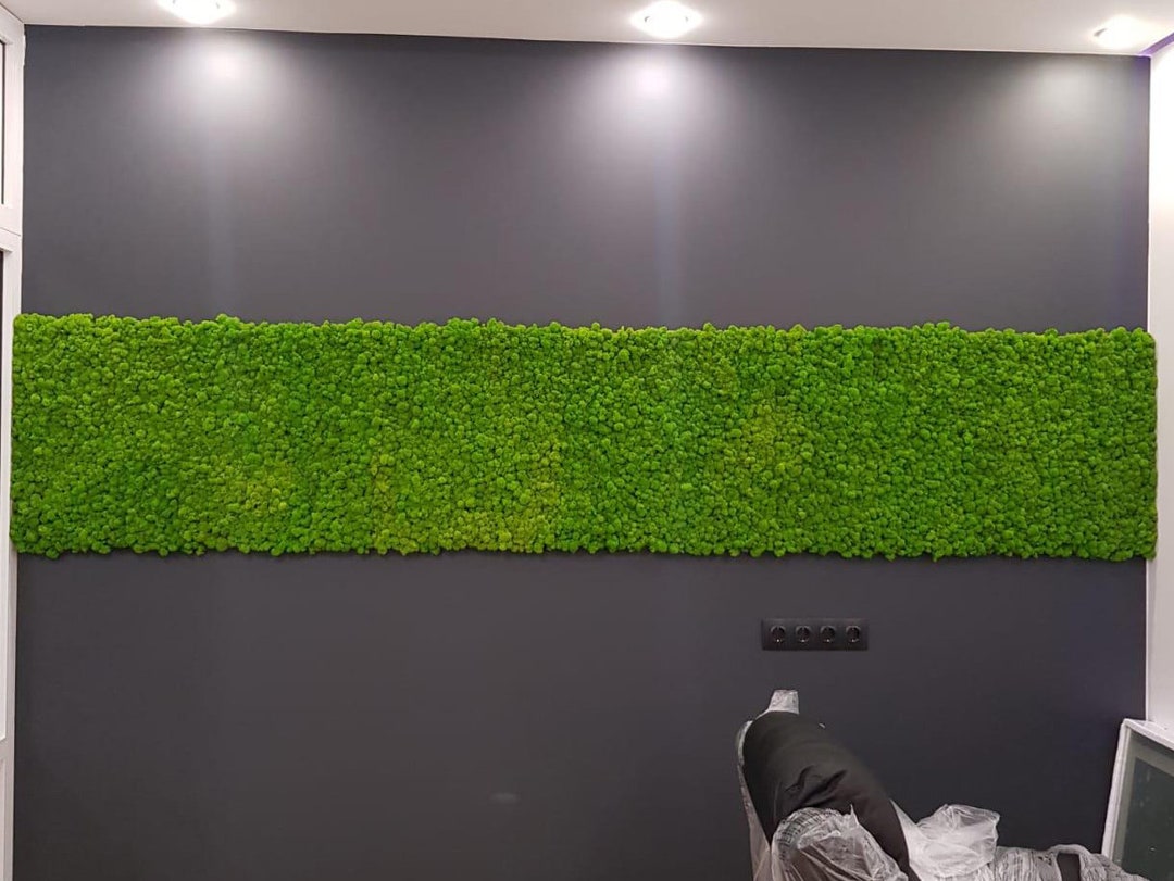 Moss Panels Wall Art Preserved Moss Panels Green Natural Dried Moss ...