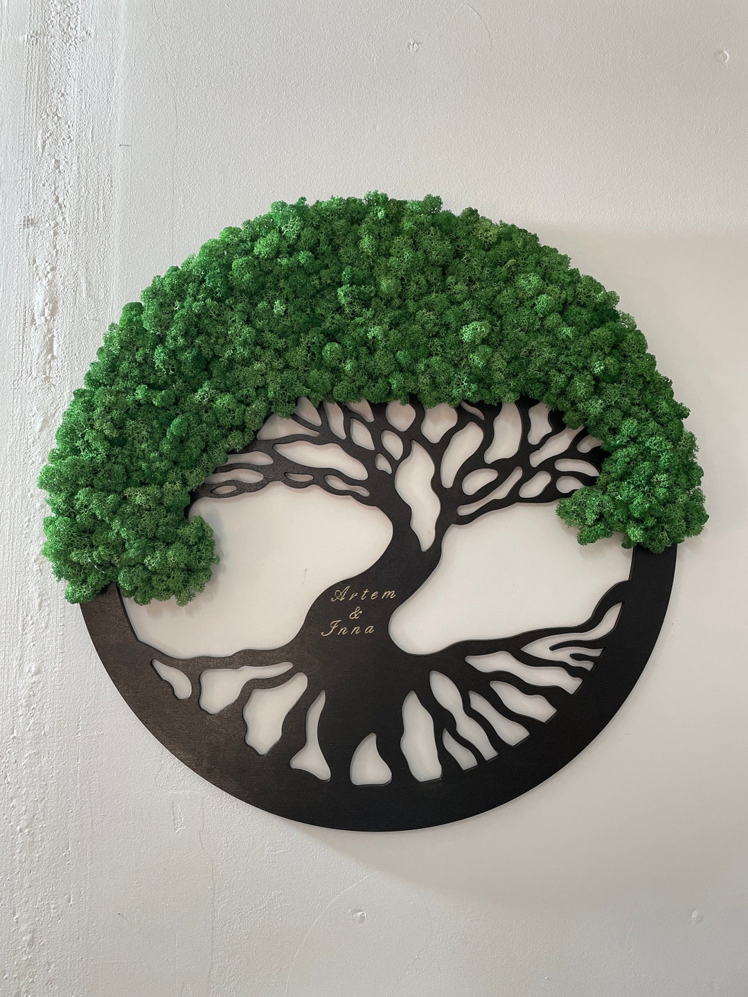 Circle Tree of Life With Preserved Moss Family Tree of Life Round Moss ...