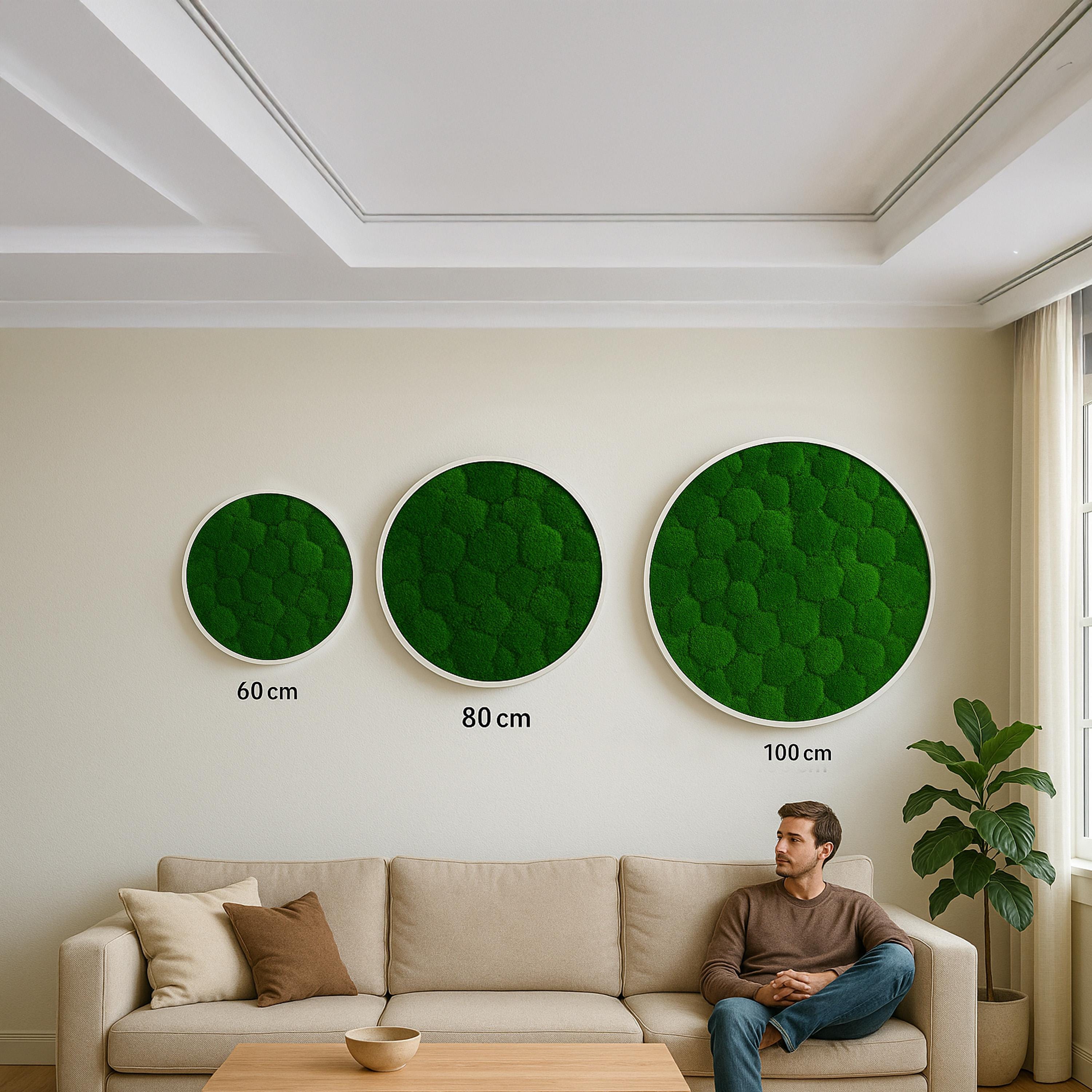 Large Round Moss Wall Art, 3D Plant Frame - Hanging Greenery, Living ...