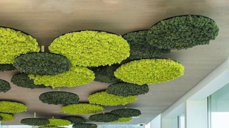 Round Moss Ceiling Panels, Round Hanging Moss Art | Green Ceiling Décor ...