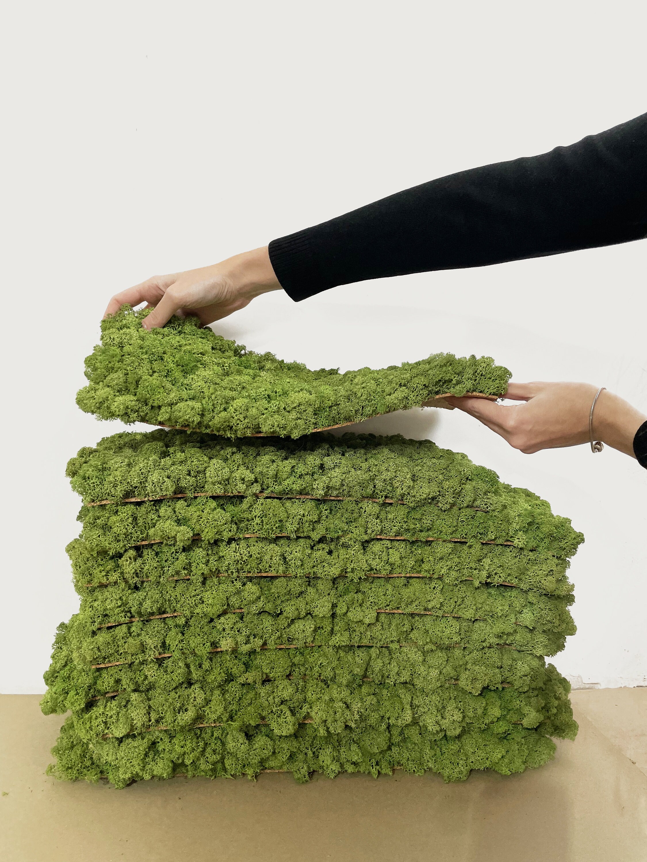 Moss Ceiling Tiles Custom Panels Wall Moss Art Green Natural Dried Moss ...