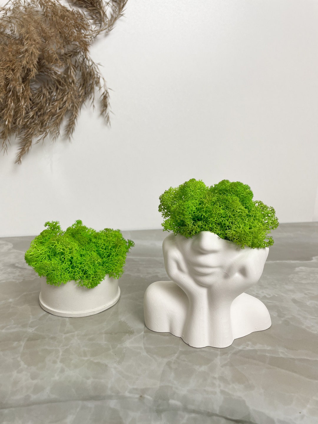 Female Body Gypsum Pot With Preserved Moss Body Shape Vase - Etsy