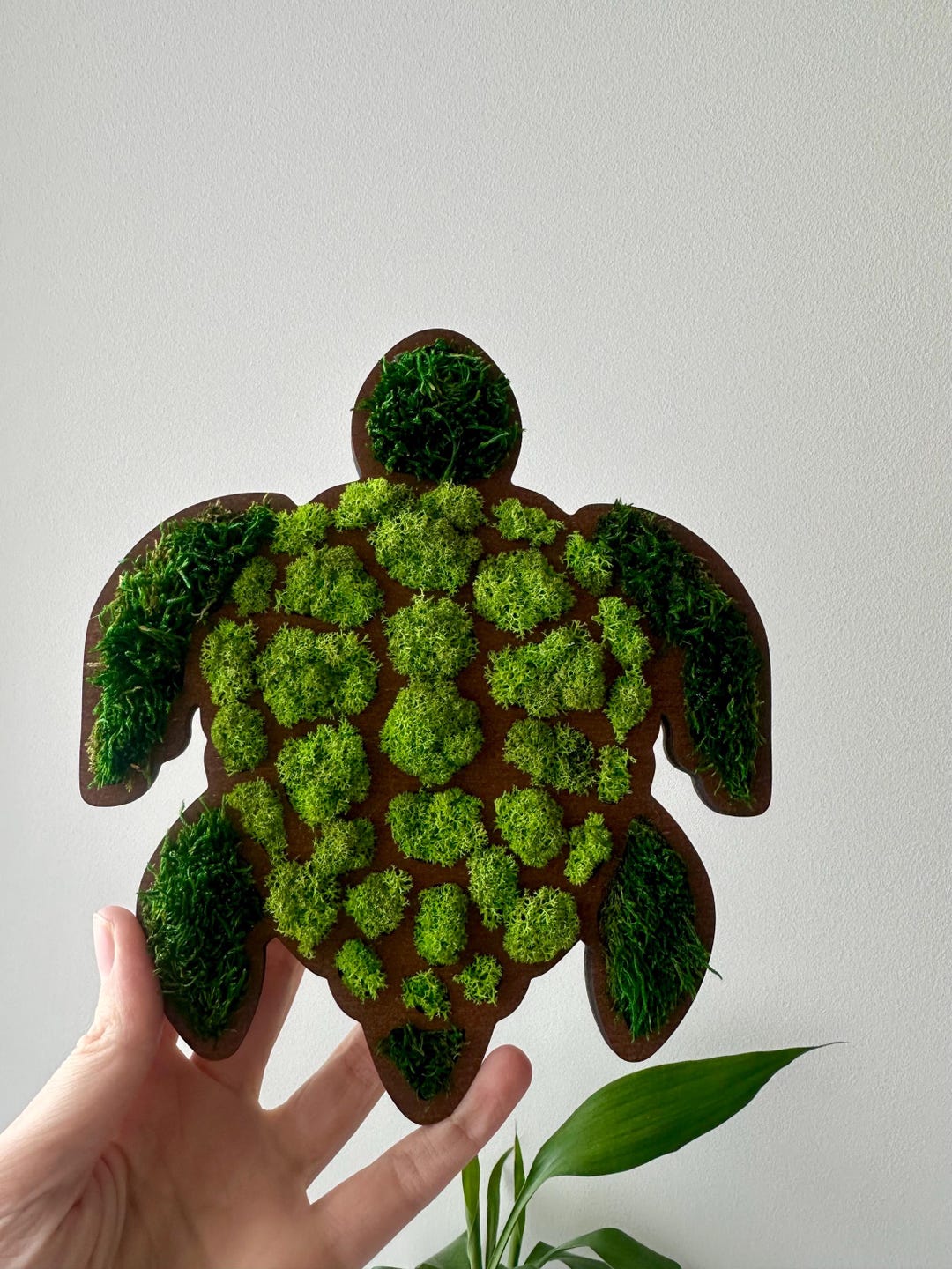 Moss Turtle Sign, Wooden Turtle With Preserved Moss Wall Art Decor ...