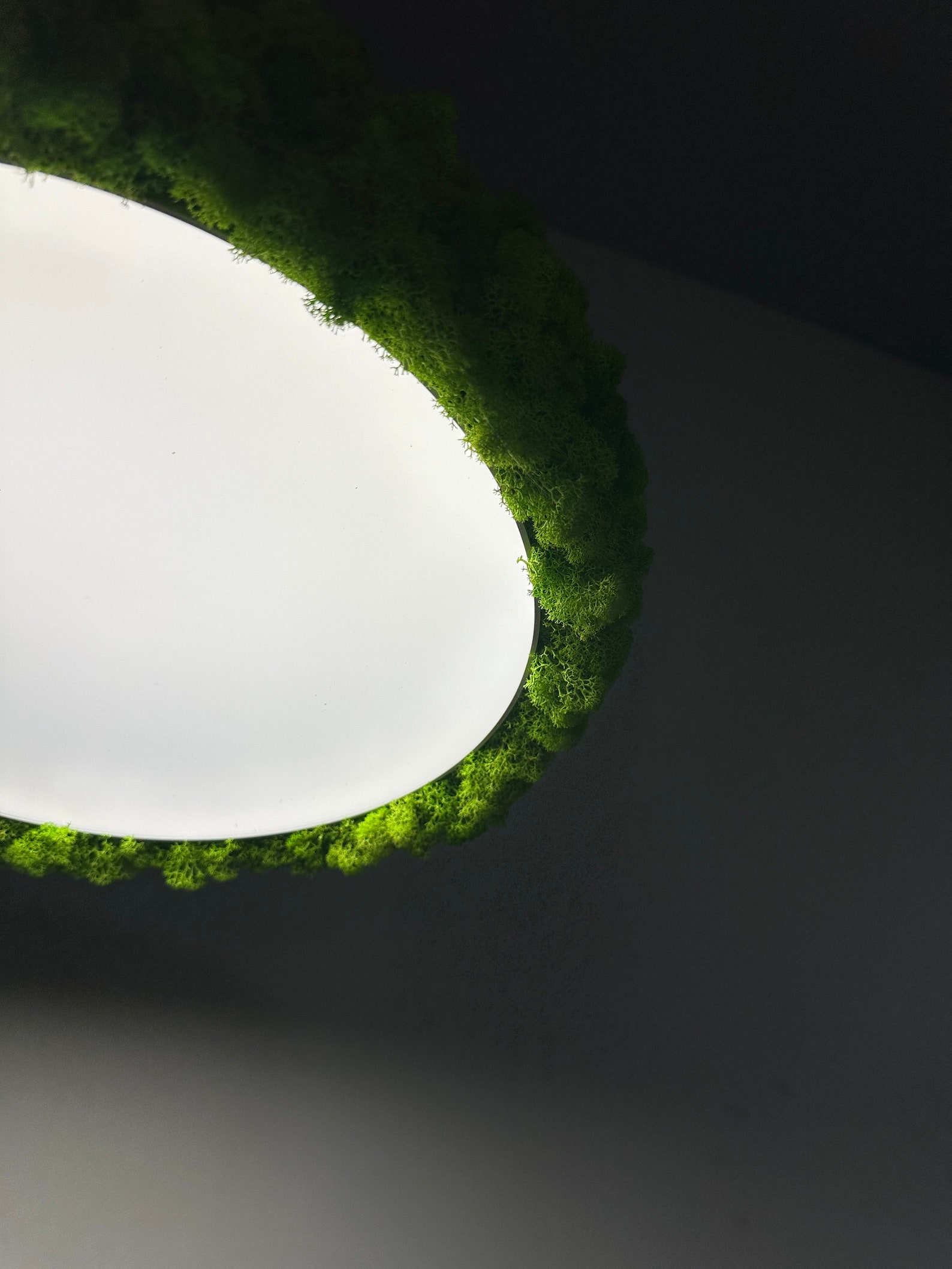 Stabilized Moss Pendant Light, Ceiling Lamp, Dining Room Lighting, Moss ...