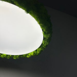 Stabilized Moss Pendant Light, Ceiling Lamp, Dining Room Lighting, Moss ...