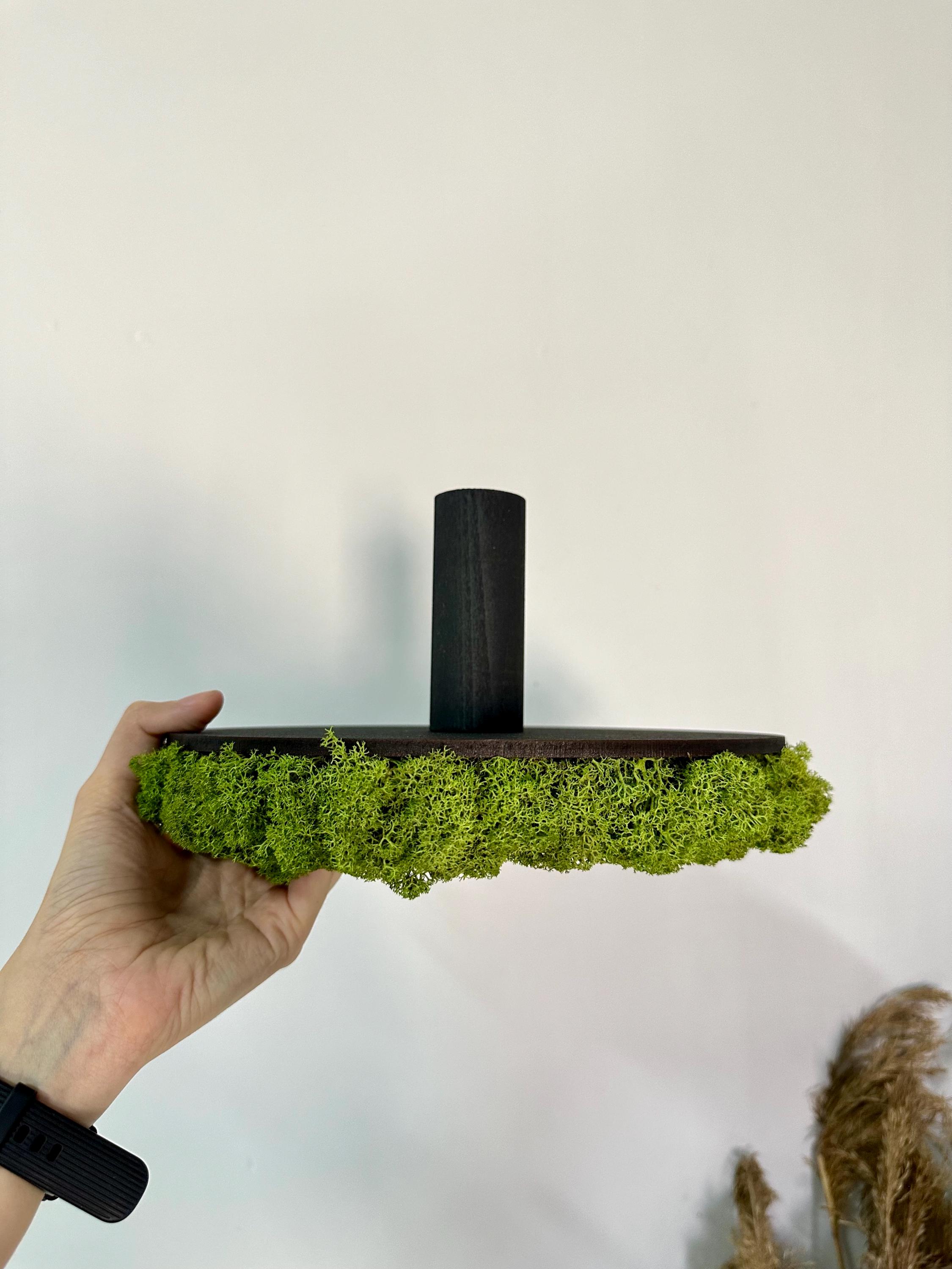Moss Ceiling Tiles Custom Panels Wall Moss Art Green Natural Dried Moss ...