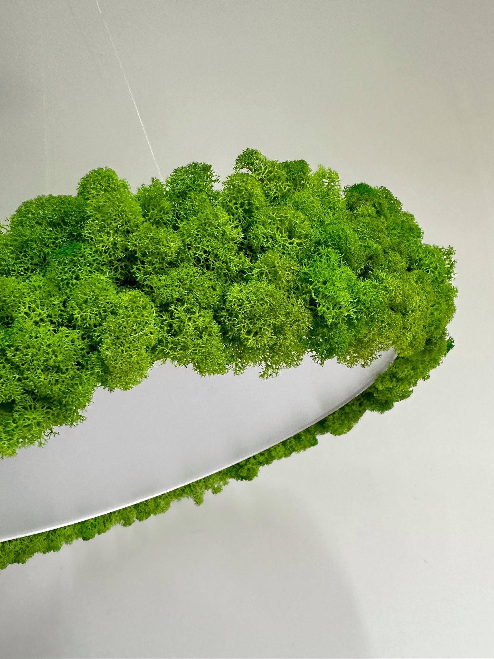 Stabilized Moss Pendant Light, Ceiling Lamp, Dining Room Lighting, Moss ...