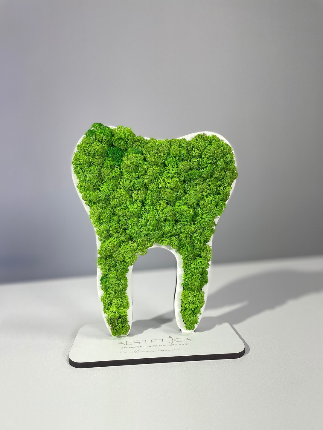 Personalized Dental Doctor Gift, Dental Office Decor, Moss Tooth ...