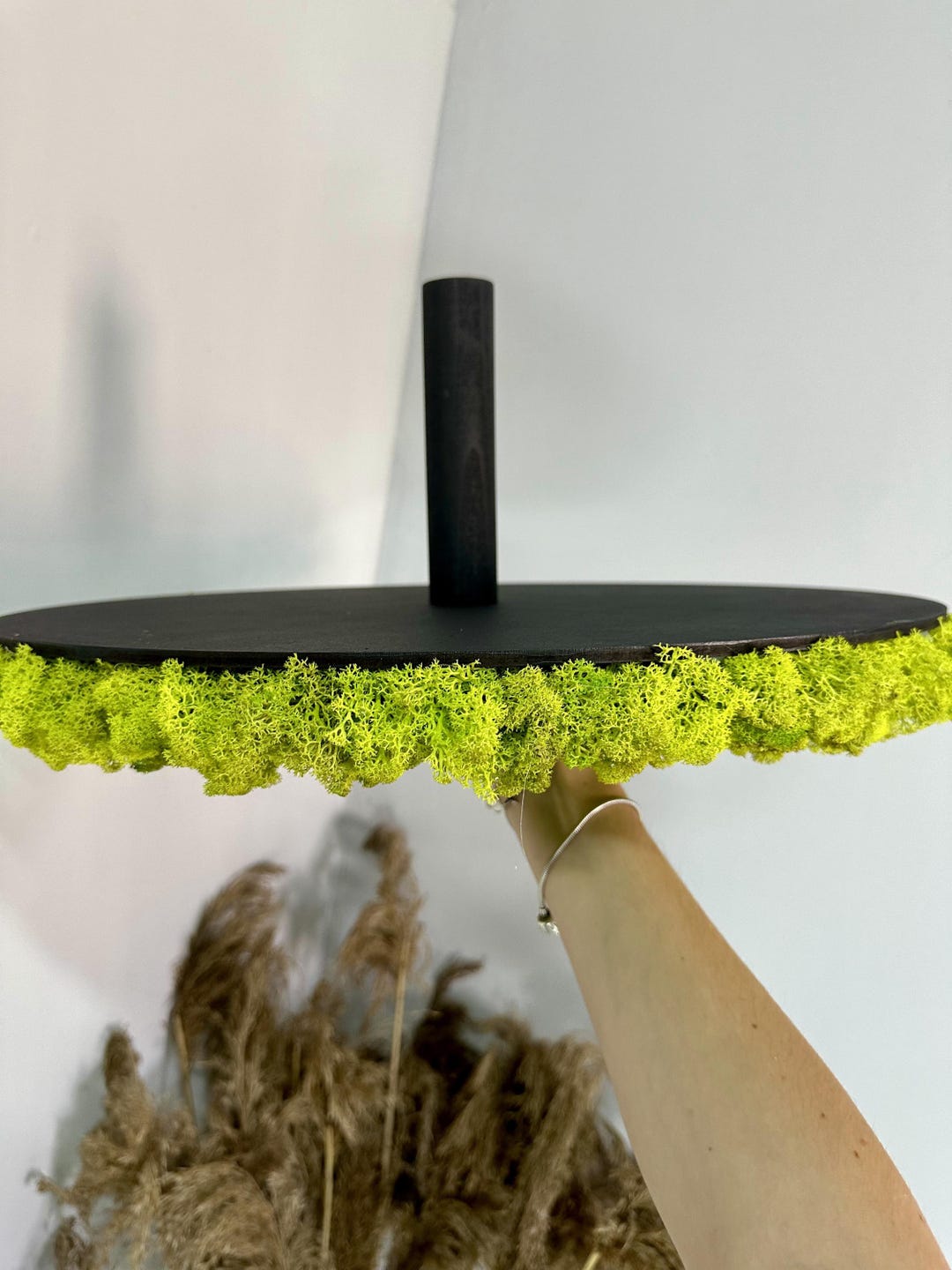 Circle Moss Ceiling Tiles Custom Panels Wall Moss Art Green Natural ...