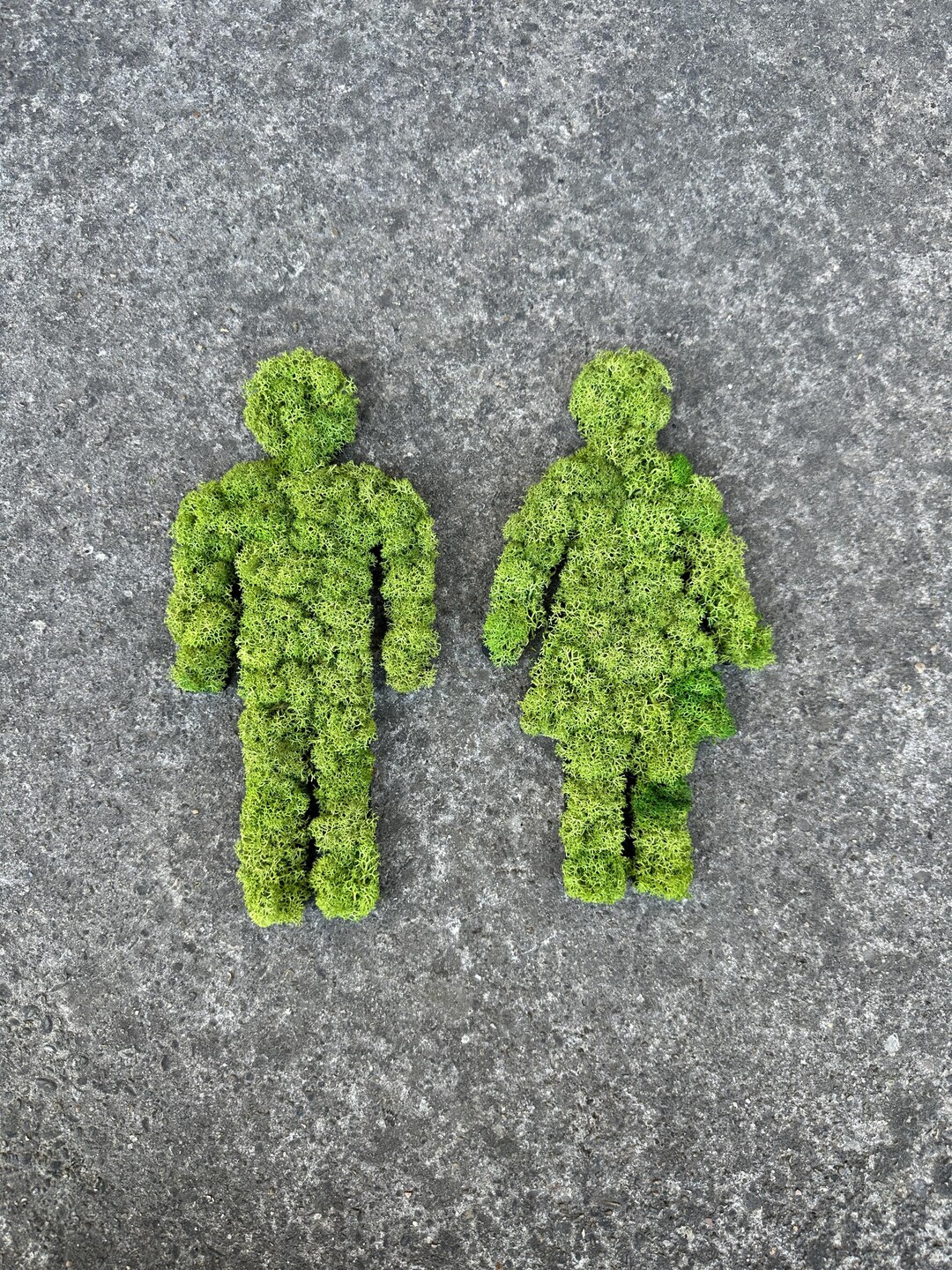 Moss Wc Sign Restroom Sign With Preserved Moss Toilet Sign Men's Room ...