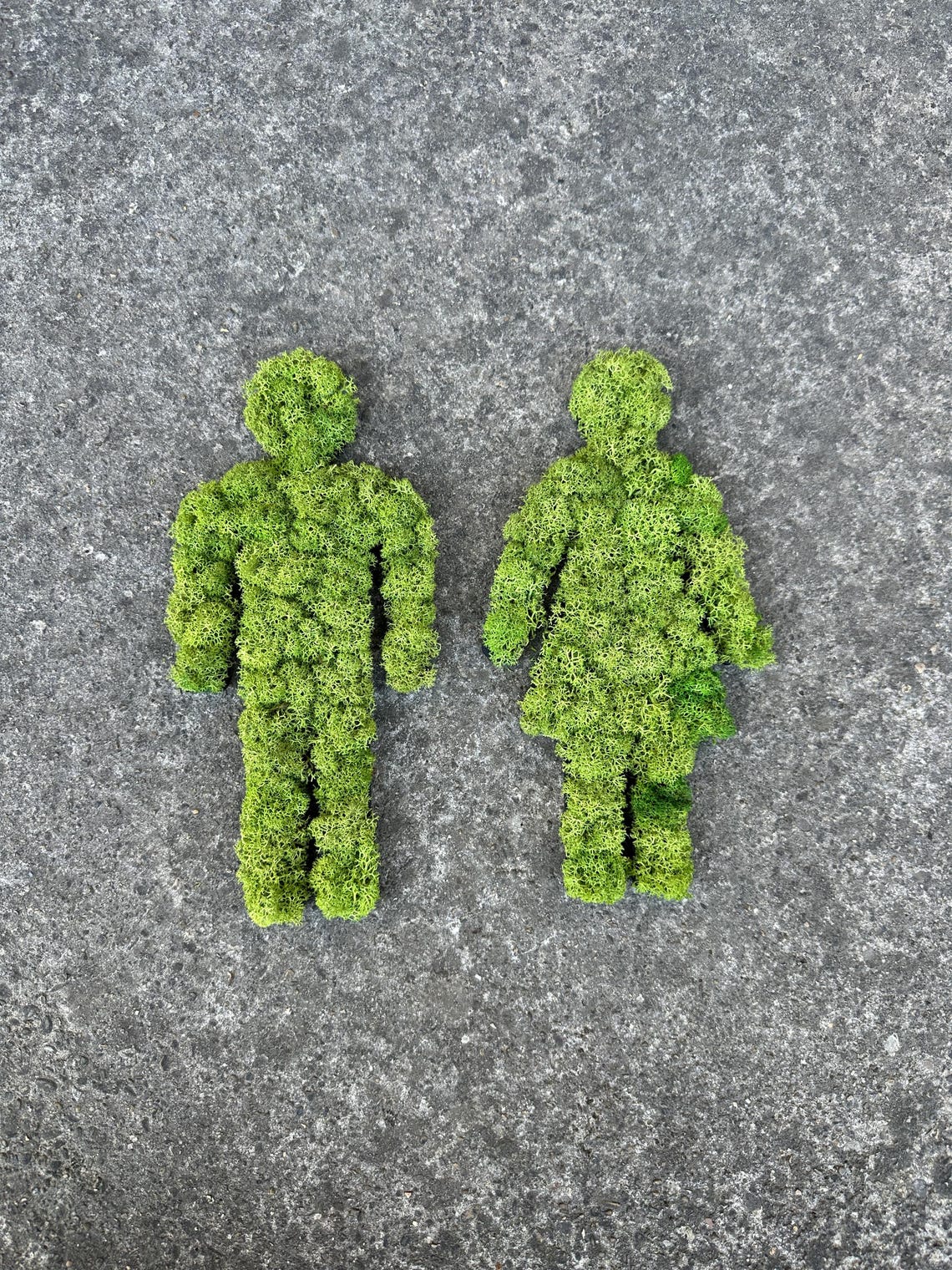 Moss Wc Sign Restroom Sign With Preserved Moss Toilet Sign Men's Room ...