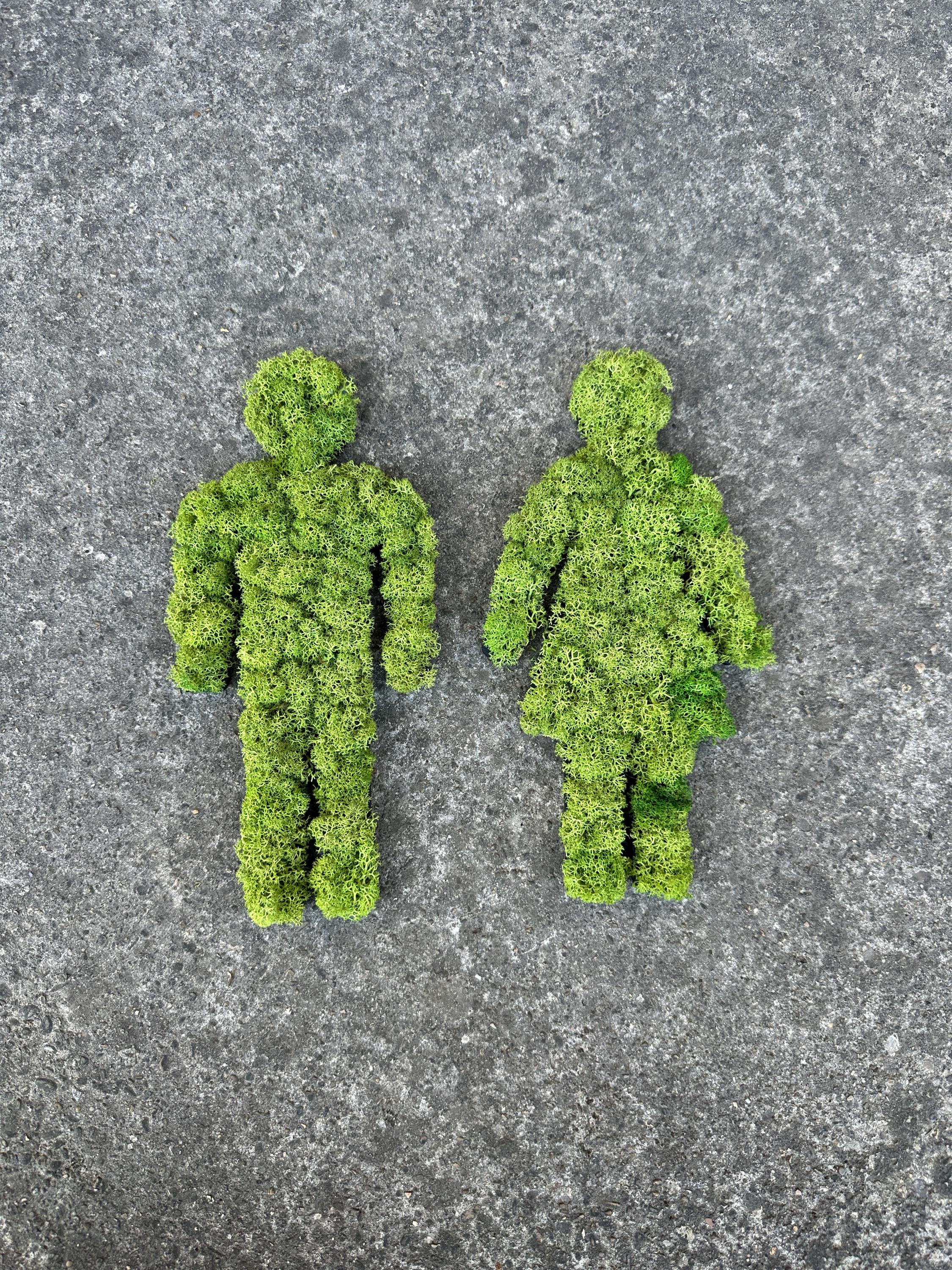 Moss Wc Sign Restroom Sign With Preserved Moss Toilet Sign Men's Room ...