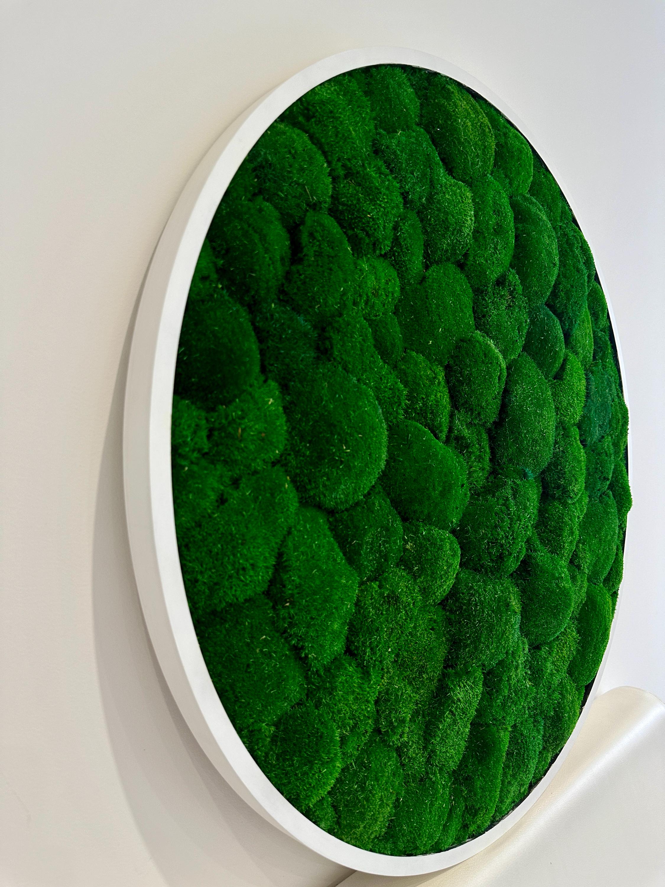 Large Round Moss Wall Art, 3D Plant Frame - Hanging Greenery, Living ...