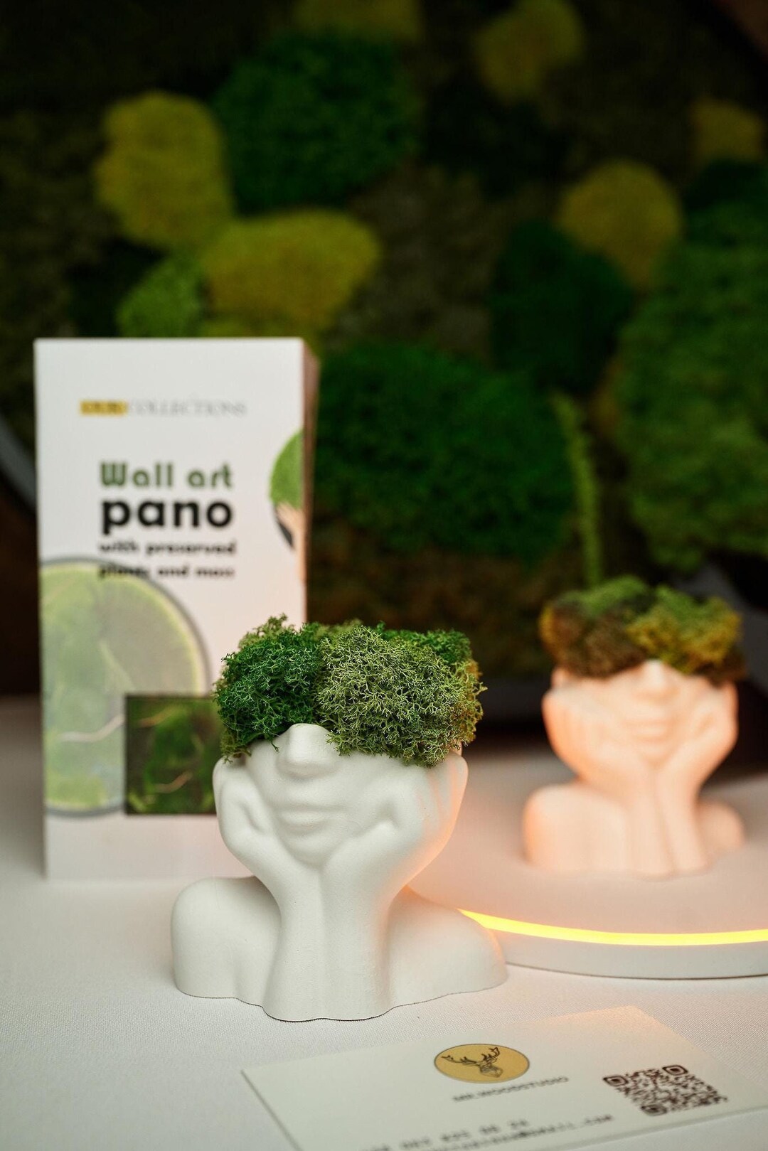 Girl Moss Pot Preserved Moss Woman Plant Pot Green Shelf Decor ...