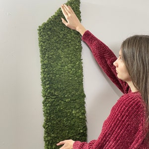 Moss Panels Wall Art Preserved Moss Panels Green Natural Dried Moss ...